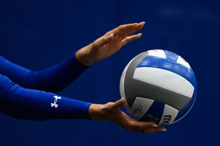 SA breaks record for table grape exports, UK tops destination list