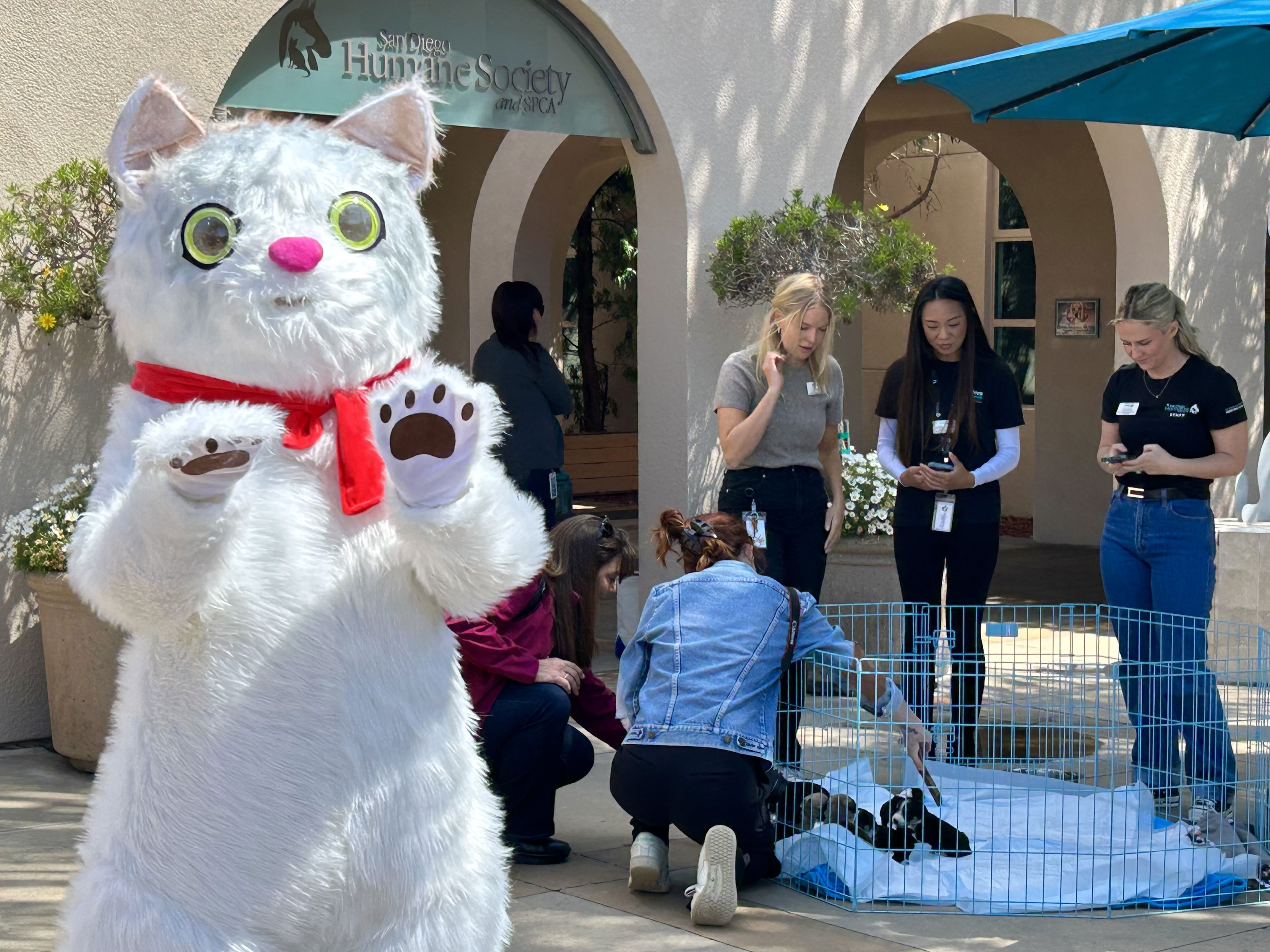 2026 San Diego County Fair opens for an enchanting summer. Here's what ...