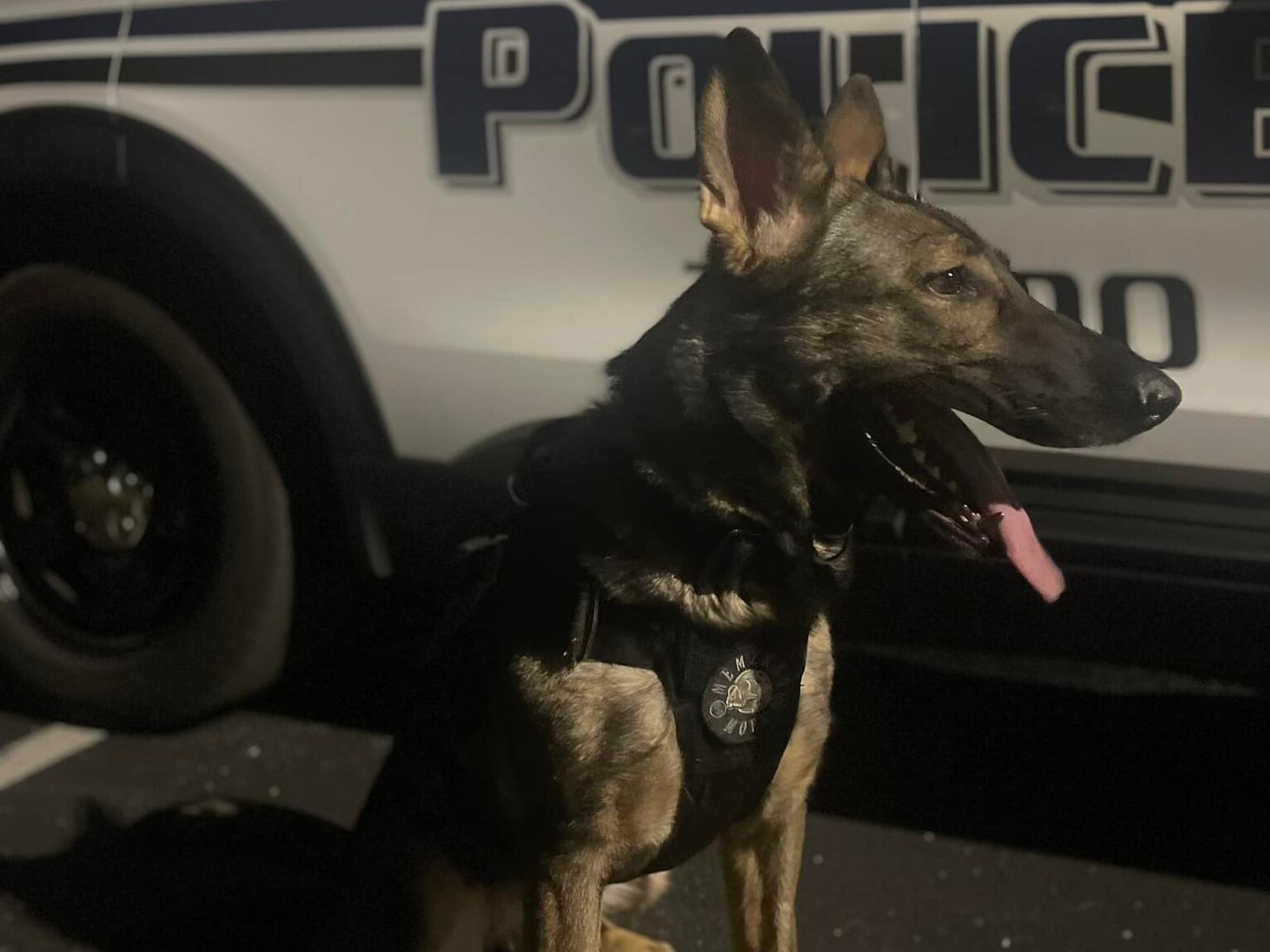Toledo Police K-9 attacked by ‘aggressive’ dog, officer fires