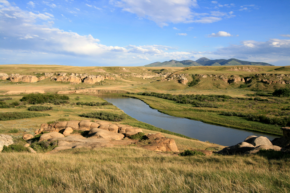 Mysterious Petroglyphs in This Montana Canyon Tell Stories of Warriors ...