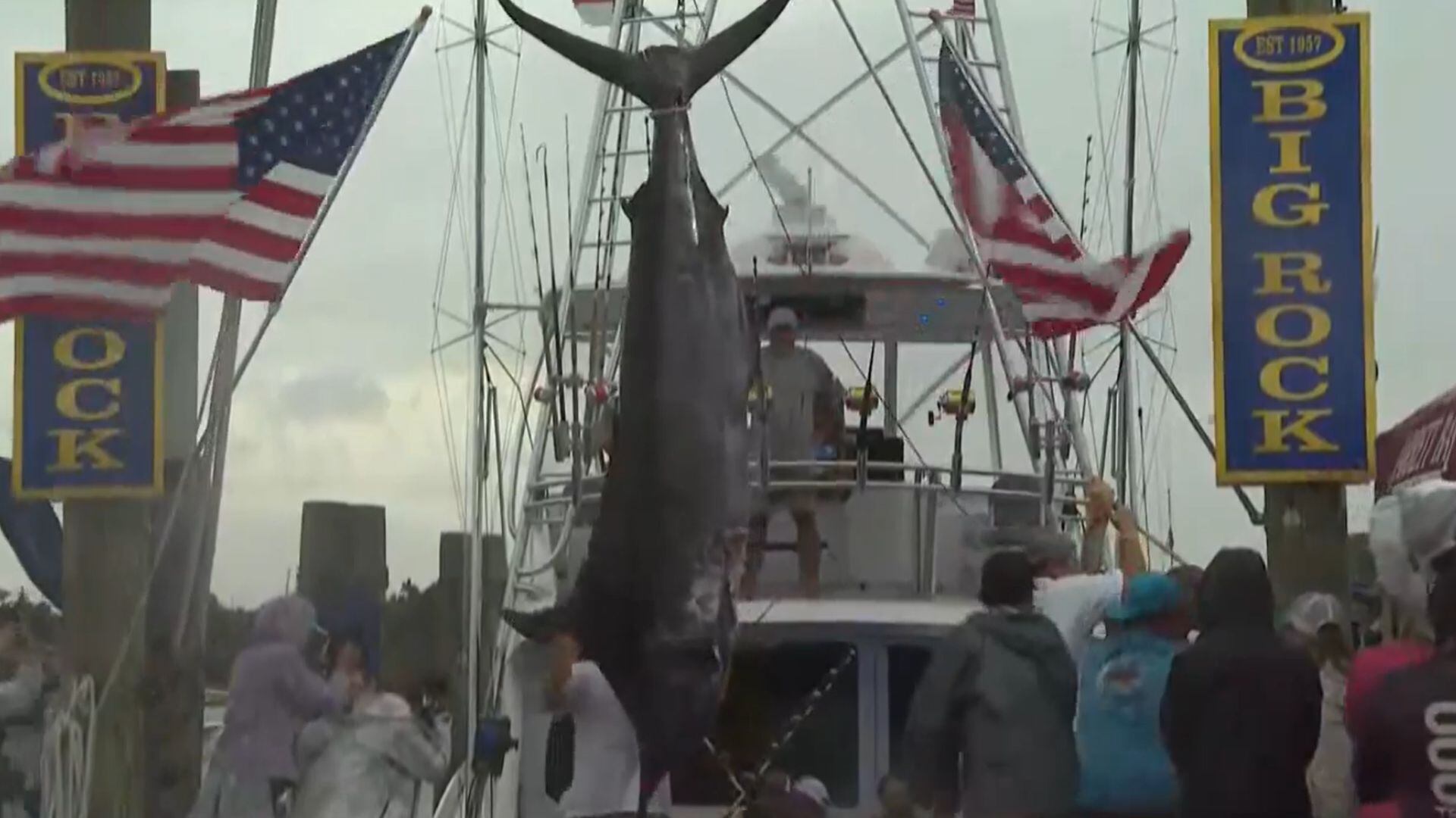 BIG ROCK DAY 5: ‘Southern Grace’ 653.7-pound blue marlin disqualified ...