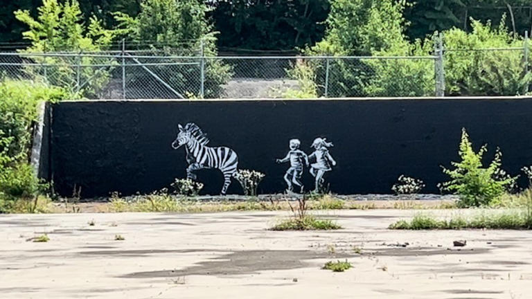 ‘Ed the Zebra’ mural painted in Nashville