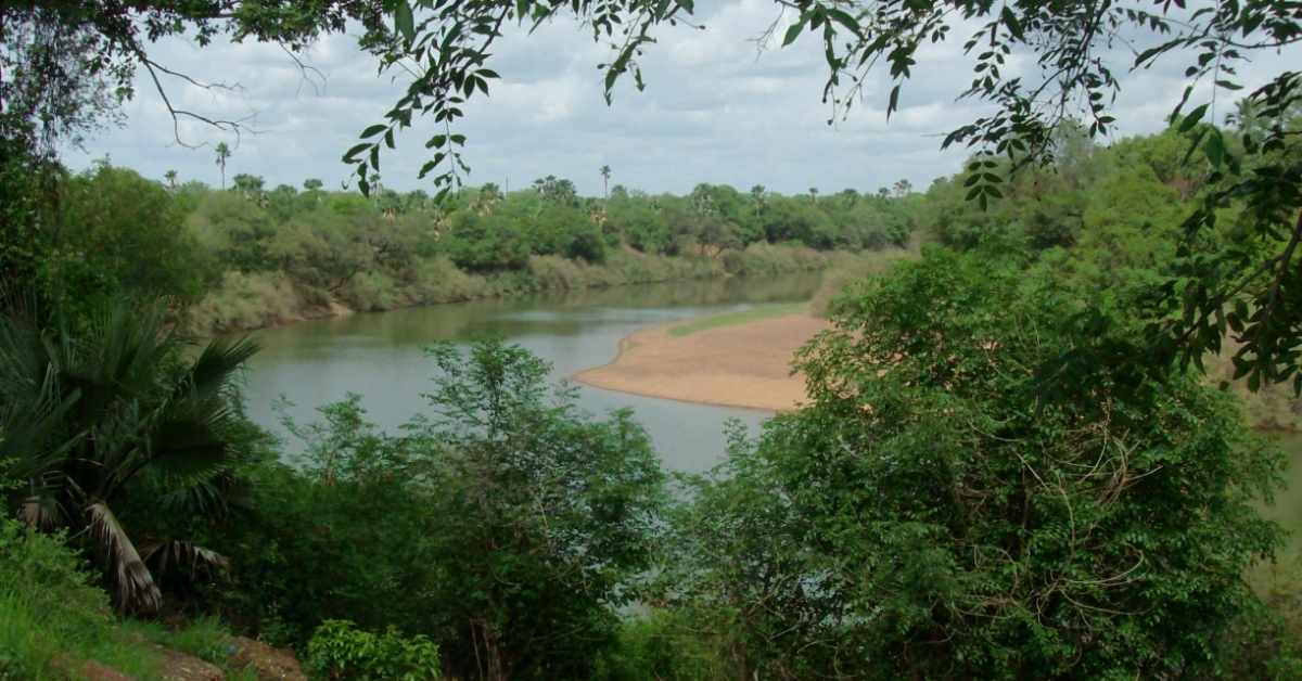 'Ghost elephant' makes 'near-mythical' appearance in rare trail camera ...