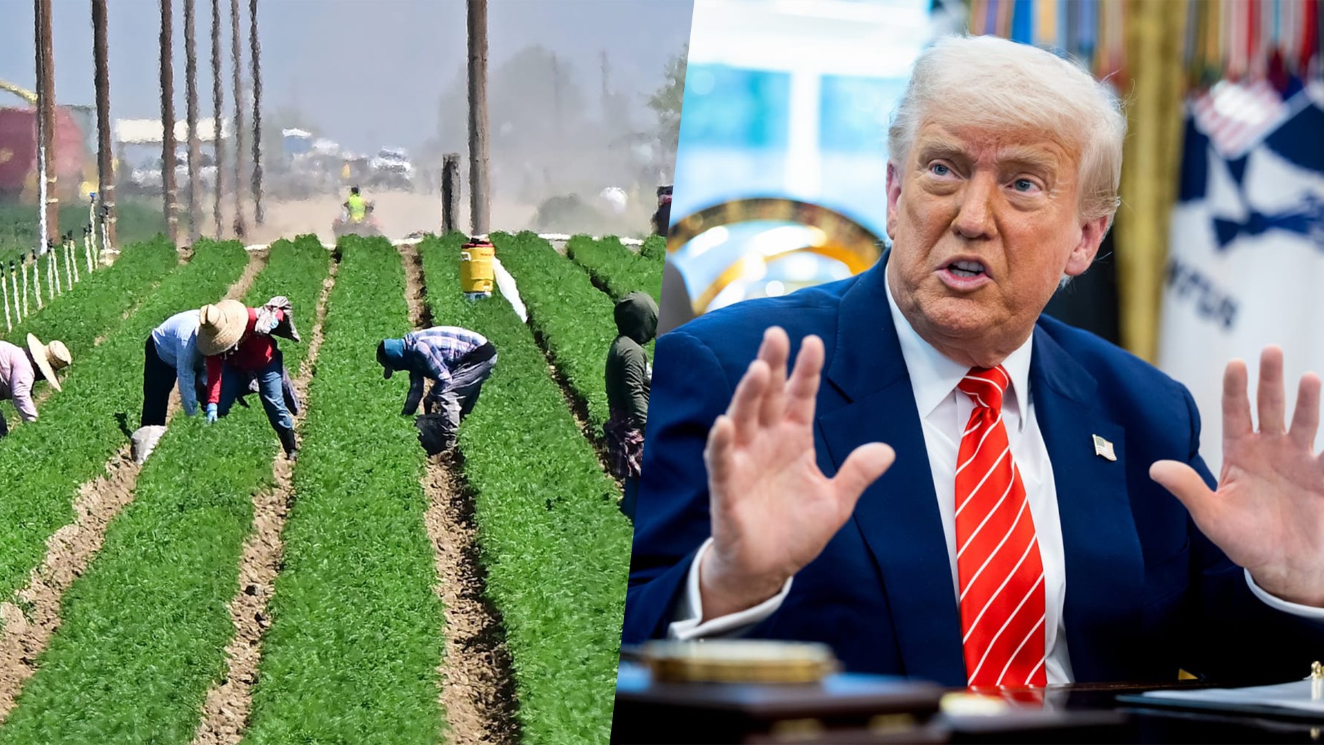 Flip-flopper in chief: Trump claims to soften immigration policy ...