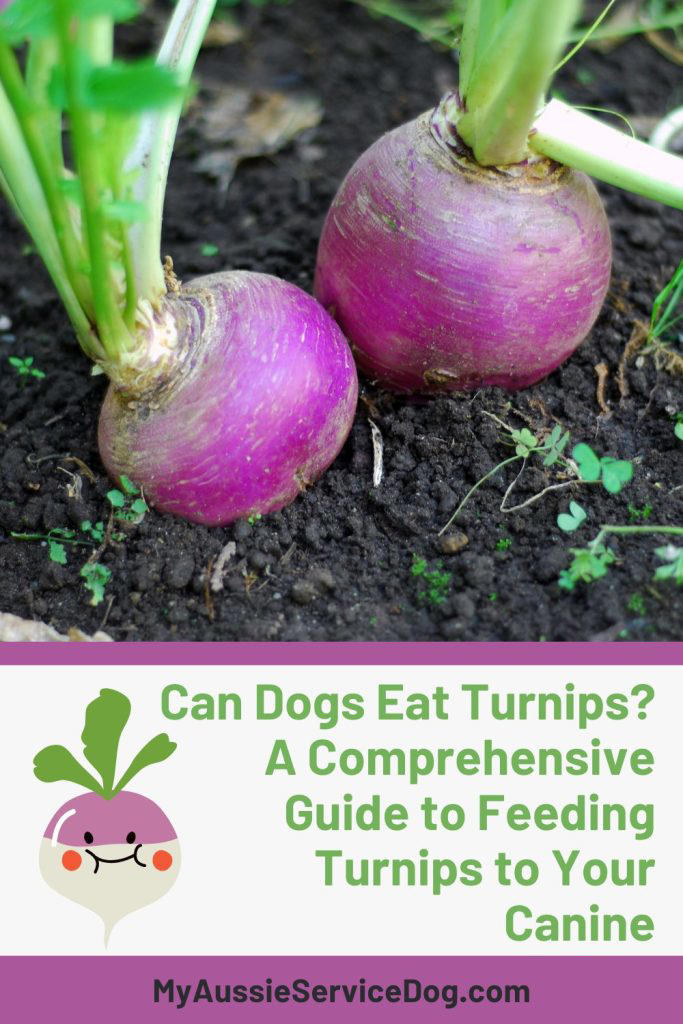 Can Dogs Eat Turnips? A Comprehensive Guide to Feeding Turnips to Your ...
