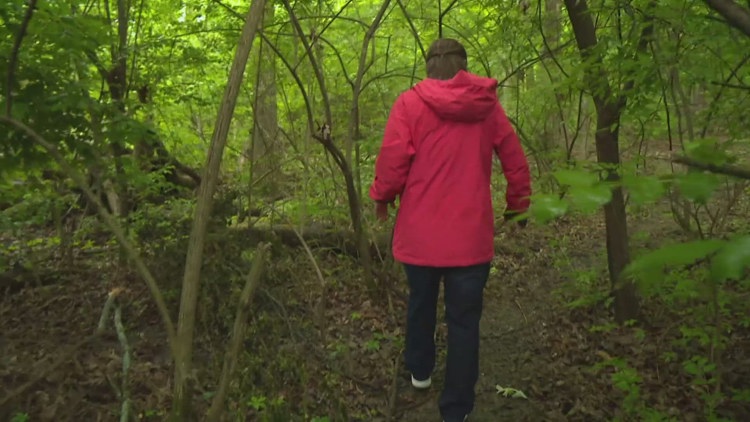 A done deal | 61 acres of south Indy urban forest to be redeveloped