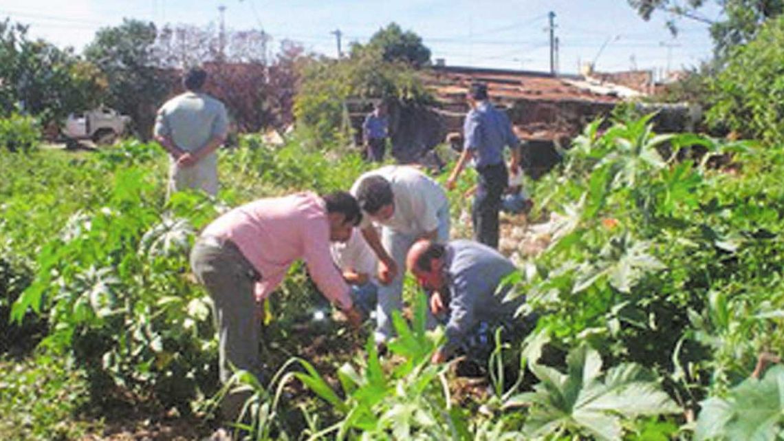 Sectas, ofrendas rituales y crímenes