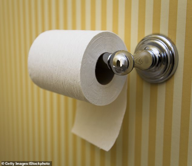 Toilet paper over or under? Scientist FINALLY settles the debate