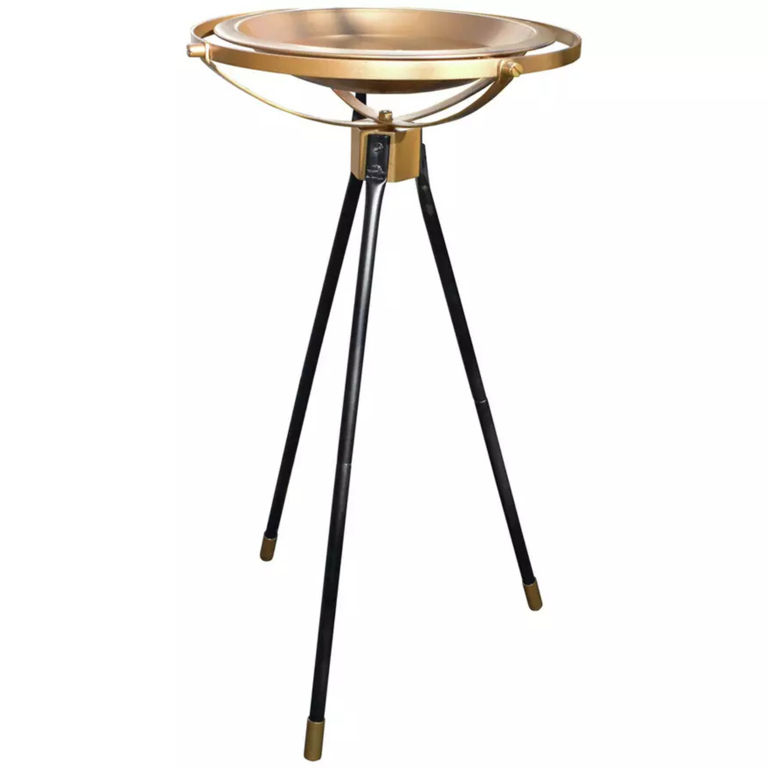 3 things you need to do if you find a bird injured in your garden ...