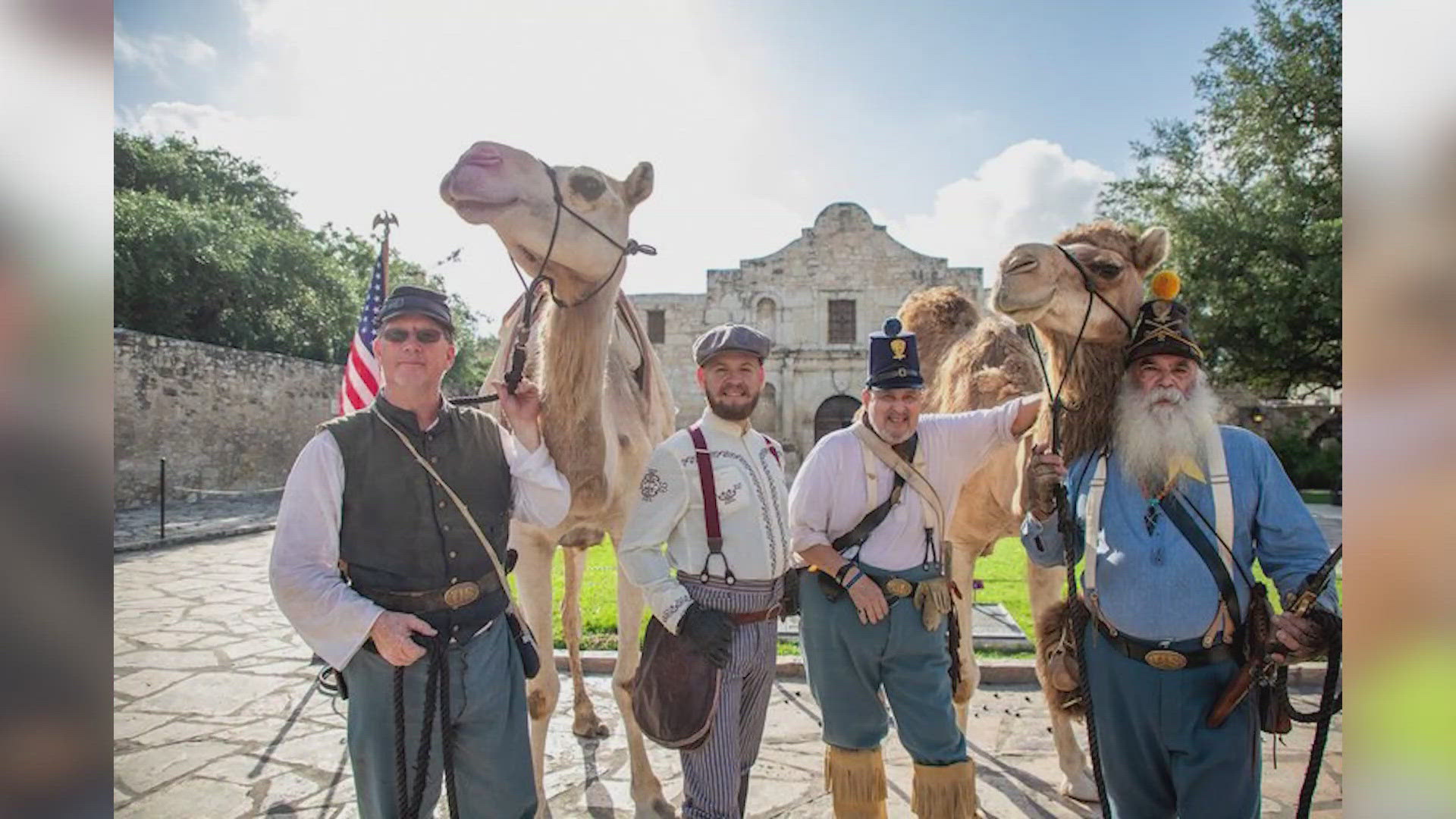 Texas Camel Crops back at the Alamo!