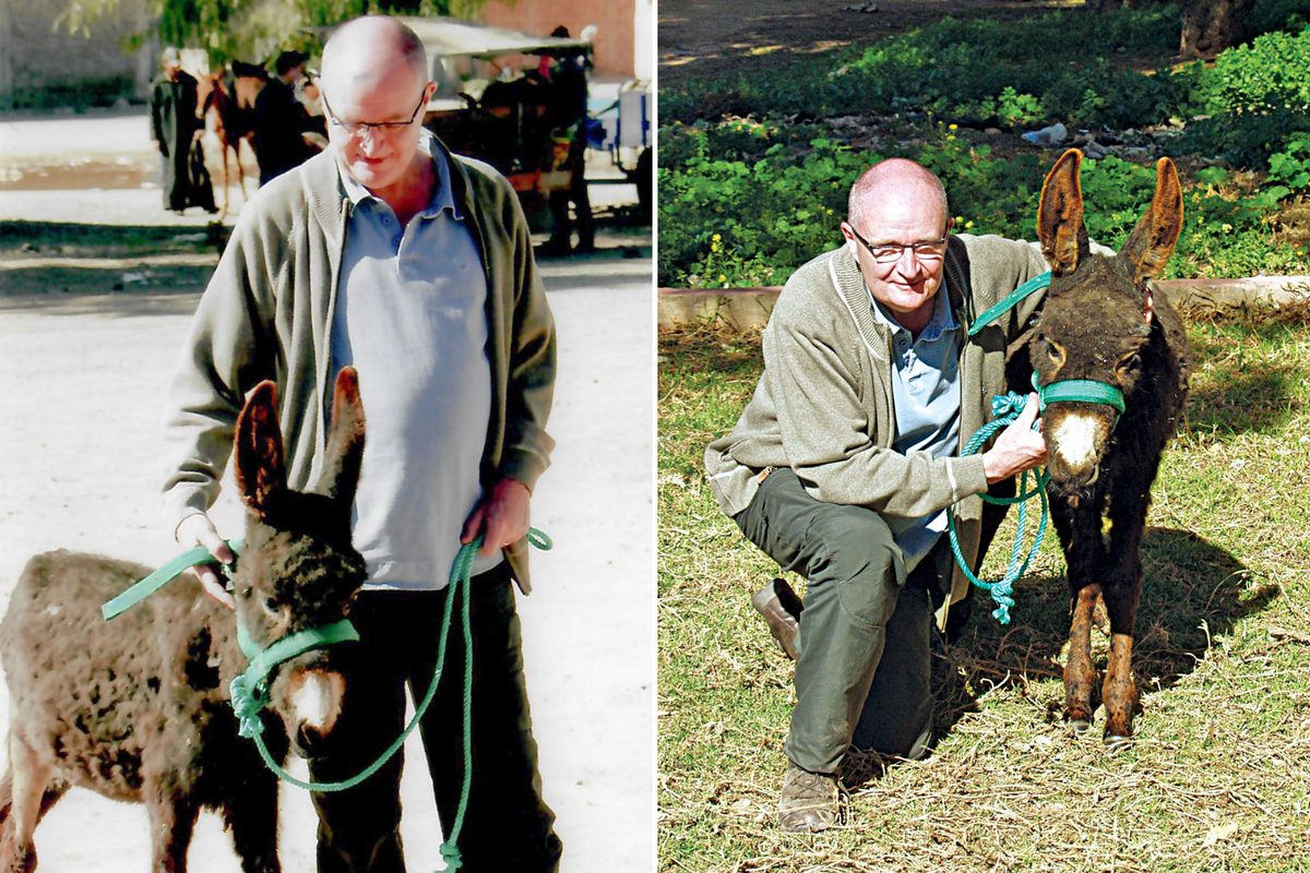 Voices: My life-changing trip to visit donkeys in Morocco