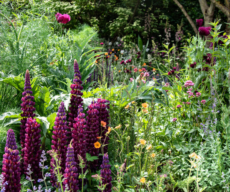 What is the most important thing pro gardeners do in January?