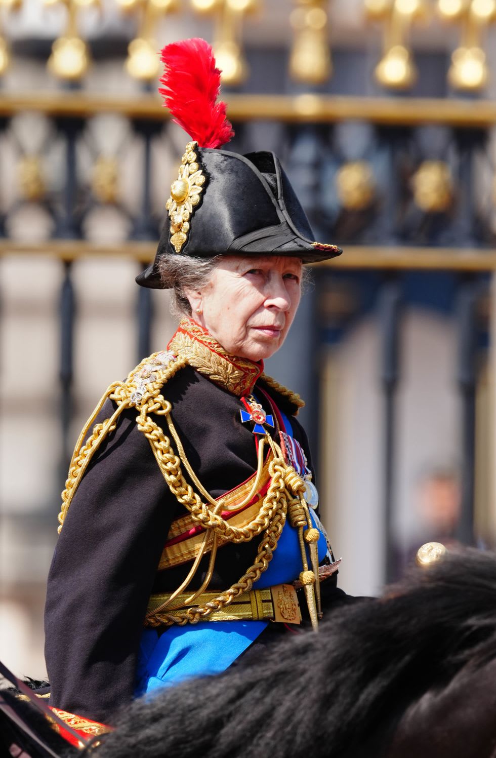 Princess Anne returns to royal tradition in first public appearance on ...