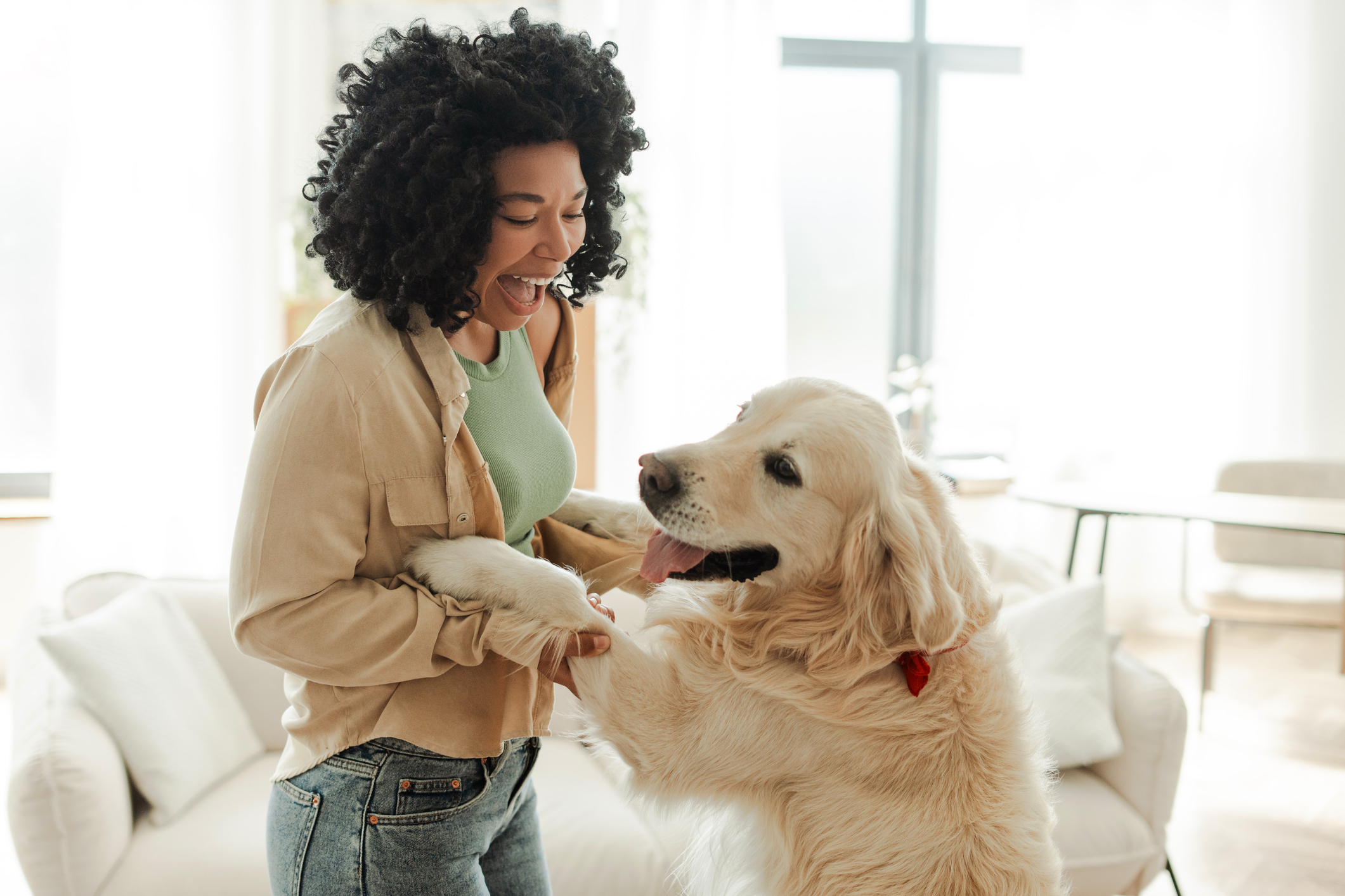 What owning a dog says about you, according to a psychotherapist