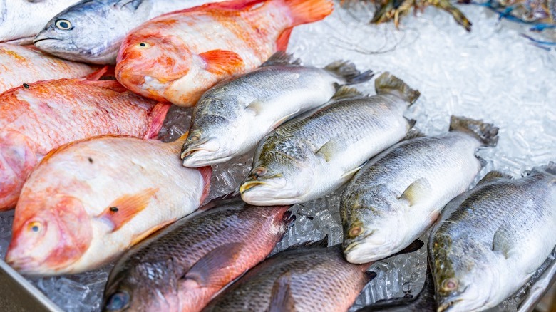 Tips For Keeping Fish From Sticking To Your Grill