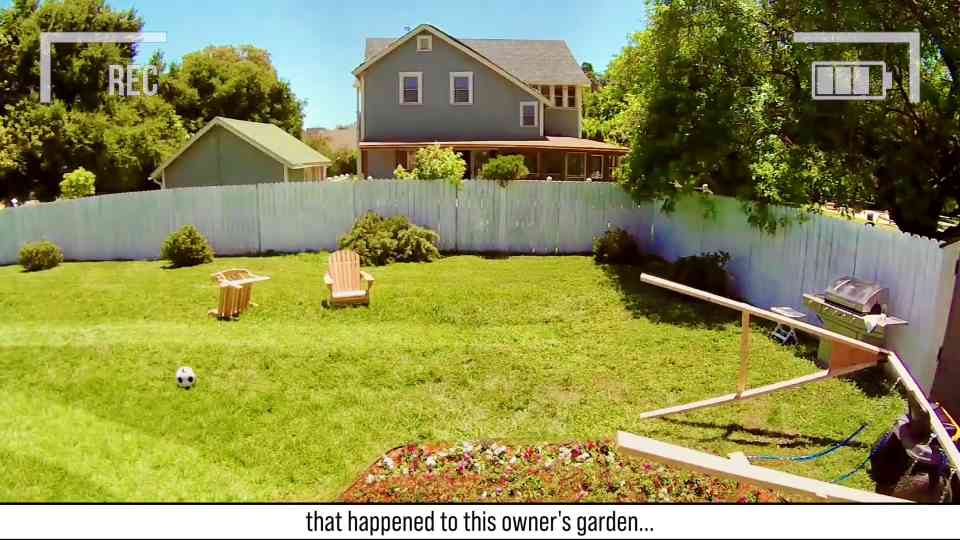 No one believed this until they saw the security camera footage...