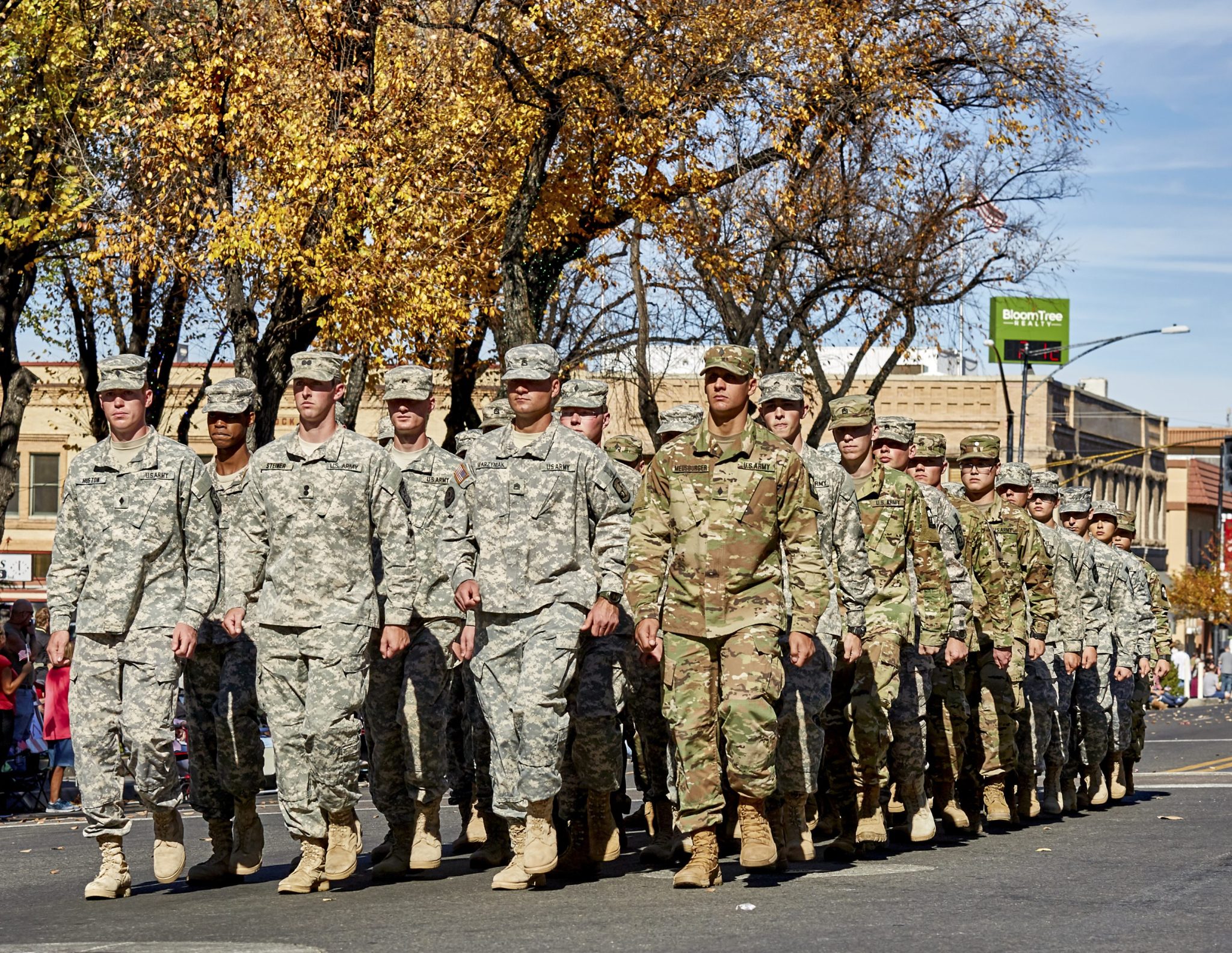 How to watch the Army Birthday Parade live online for free—and without ...