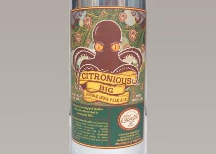 The best IPA in Florida, according to beer aficionados—plus, see the ...