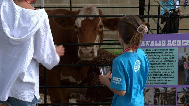C.A.L.F. provides many fun activities for kids