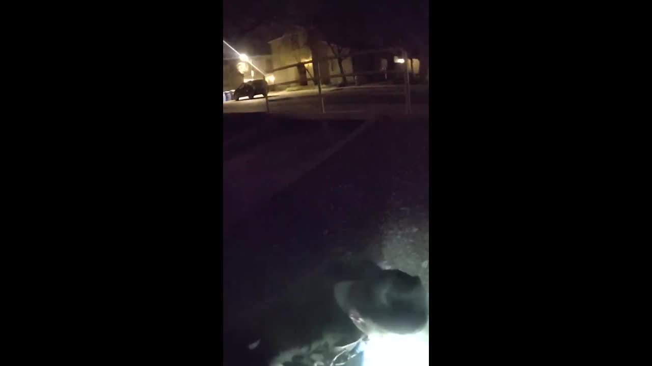 Phoenix Officers Rescue Kitten Trapped in Storm Drain