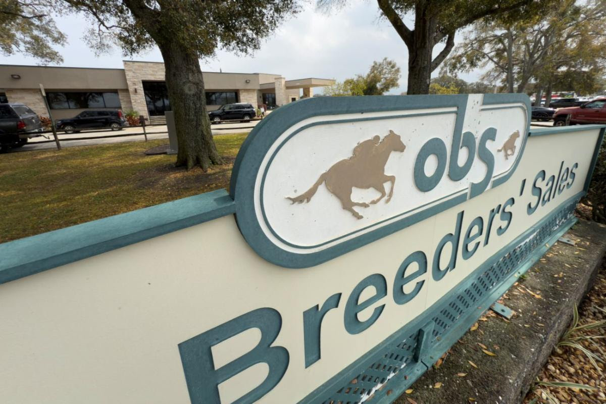 OBS updates bidding platform