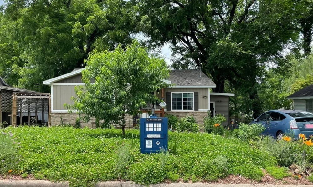 First-time homeowner shares impressive before-and-after photos of front ...