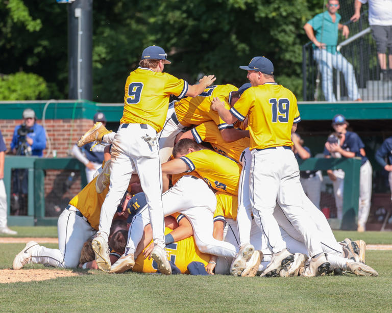 Who's No. 1? Hartland is after capping improbable baseball playoff run ...