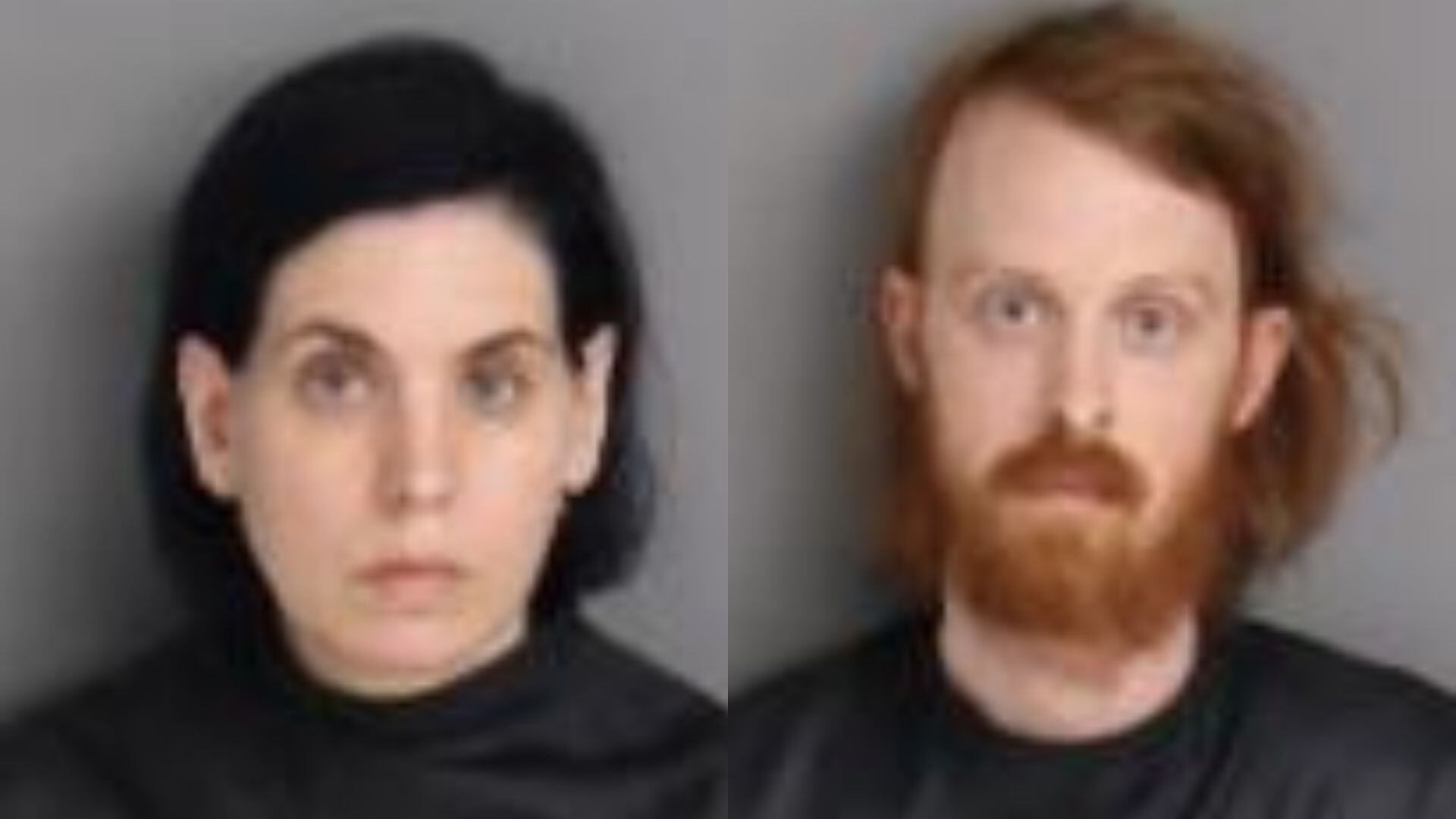 S.C. parents left daughter home alone with dead animals while they went ...