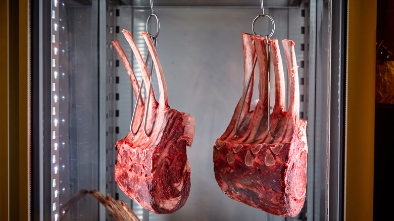 7 Tips For How To Dry Age Your Own Meat