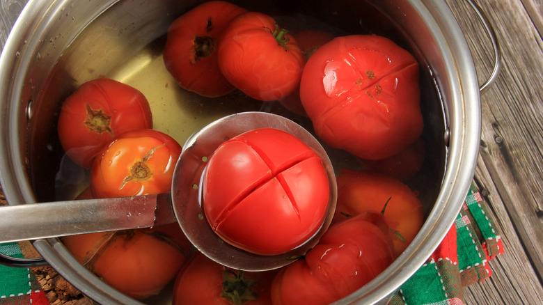 The 9 Most Important Tools You Need For Canning Tomatoes