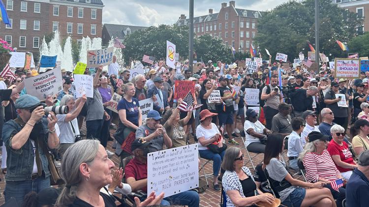 Thousands show up to 'No Kings' protests in Northern Virginia