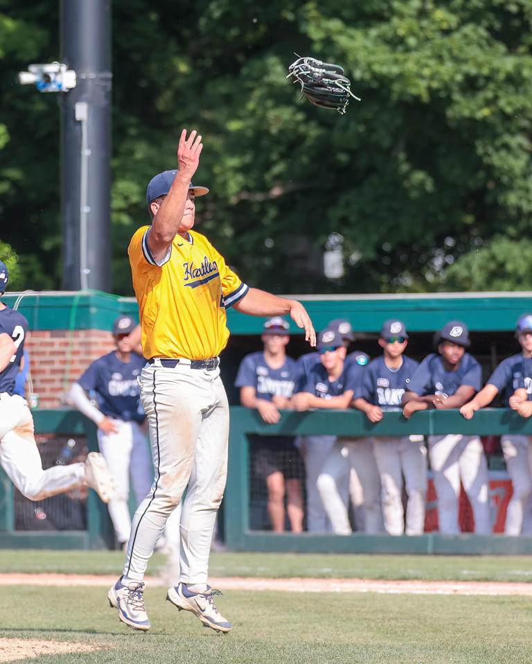 MHSAA baseball finals: Hartland caps off 'special run' for Division 1 ...