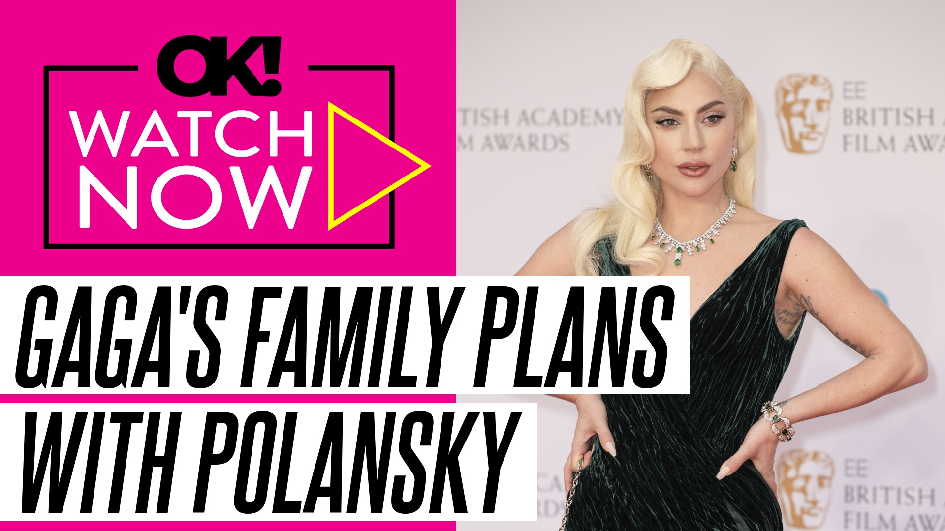 Lady Gaga Wants to Start a Family With Fiance Michael Polansky 'Sooner ...