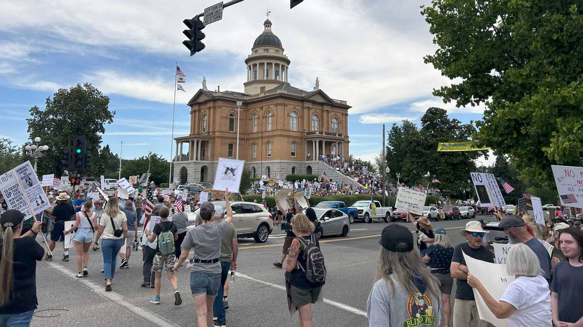 Trump critics relish ‘No Kings' protest at Auburn courthouse in county ...