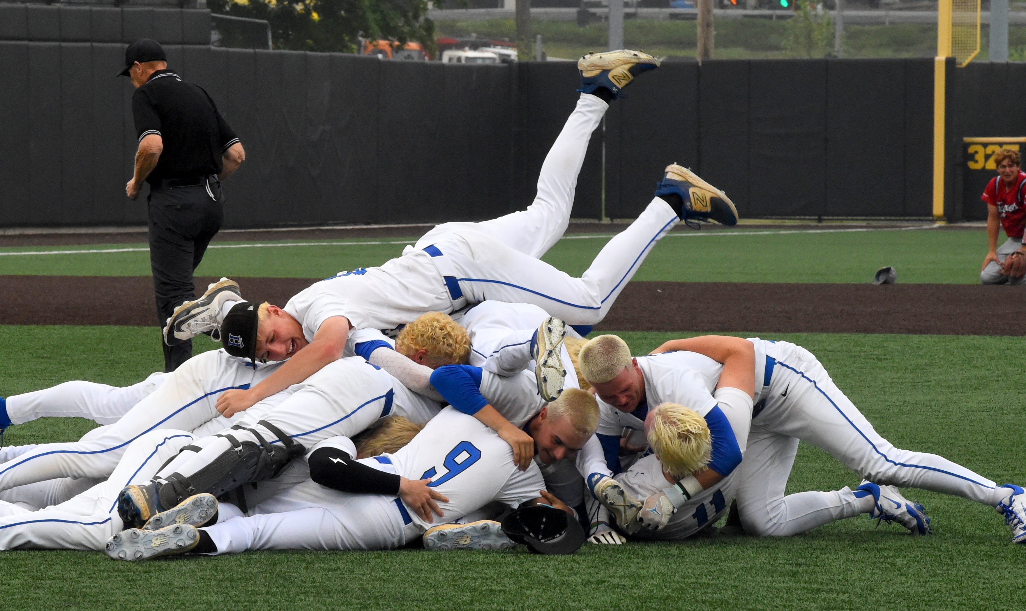Walk-off hit in 8th inning gives Horseheads baseball team Class AA ...