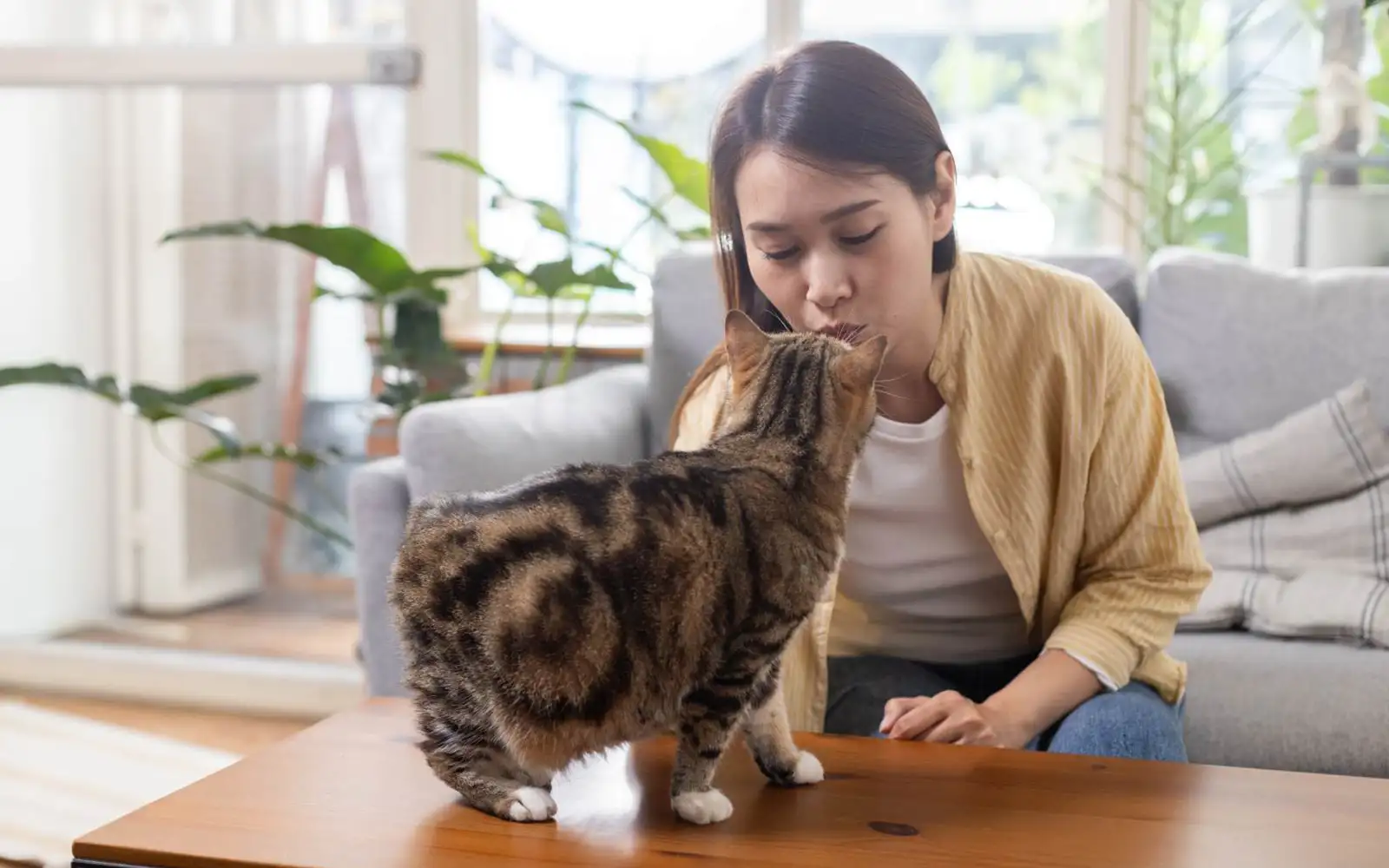 Why does your cat ignore you?