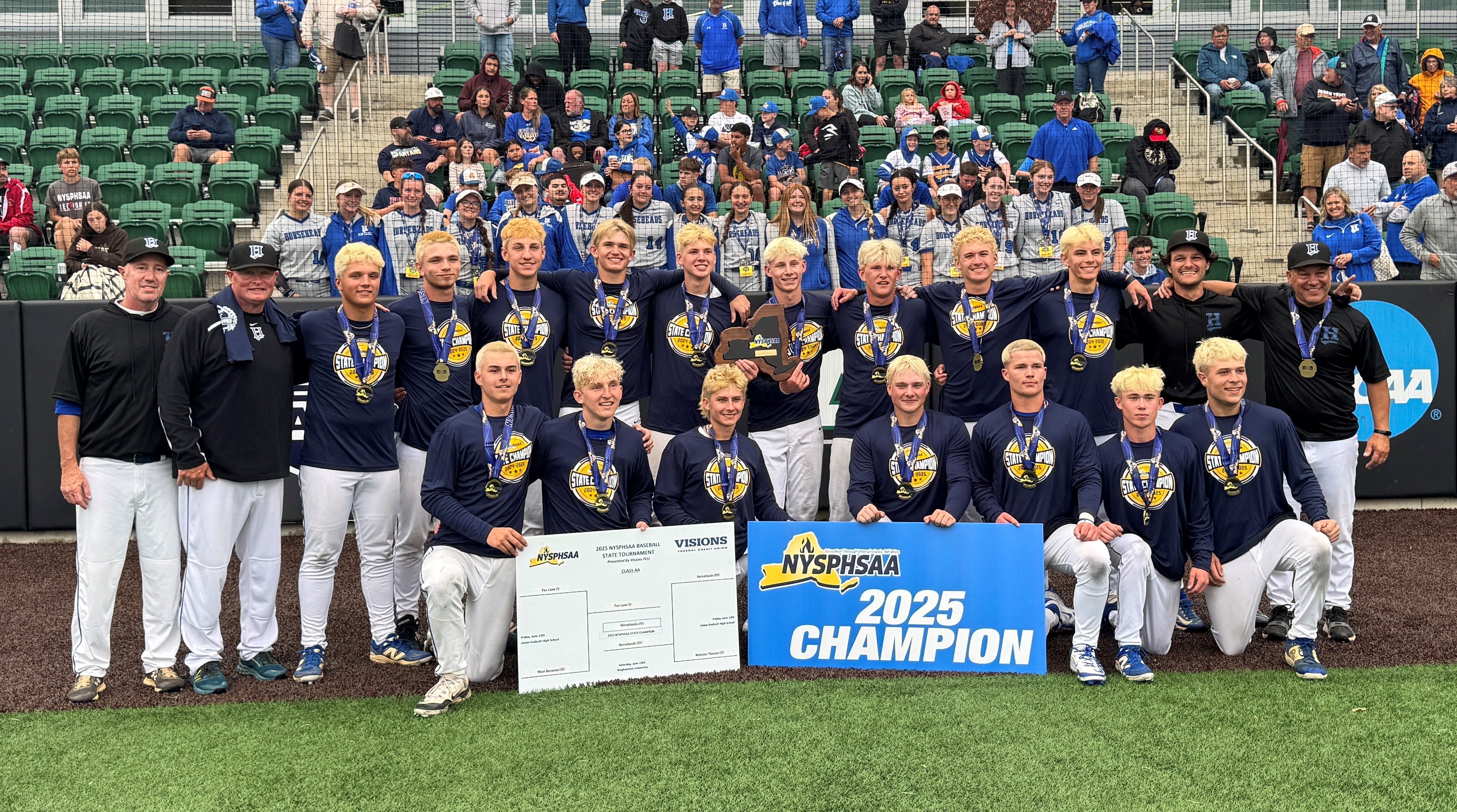 Walk-off hit in 8th inning gives Horseheads baseball team Class AA ...