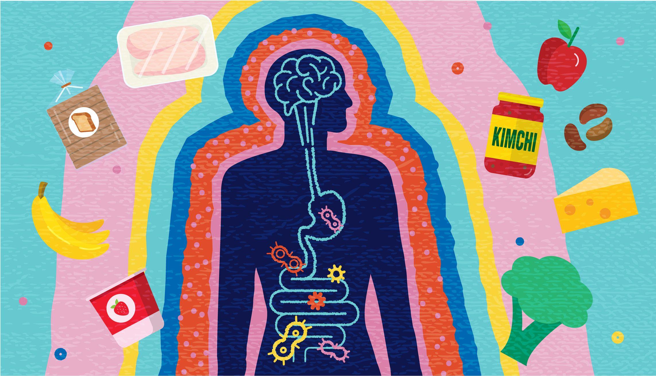 Rahasia usus yang lebih sehat – Apa saja makanan terbaik dan terburuk ...