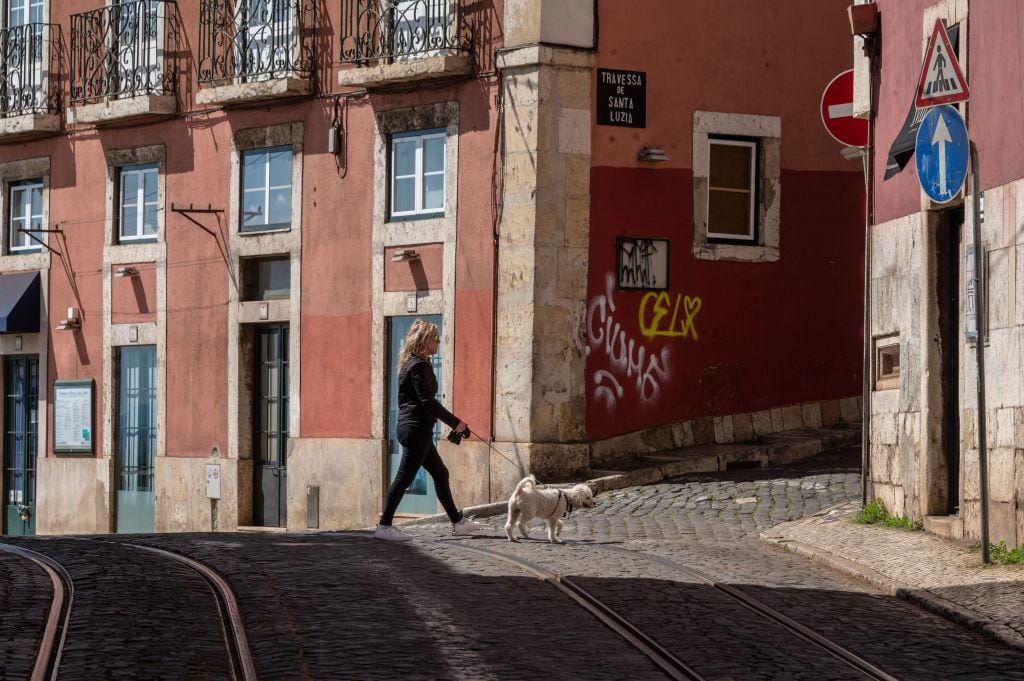 Portugal entre os destinos mais dog-friendly da Europa