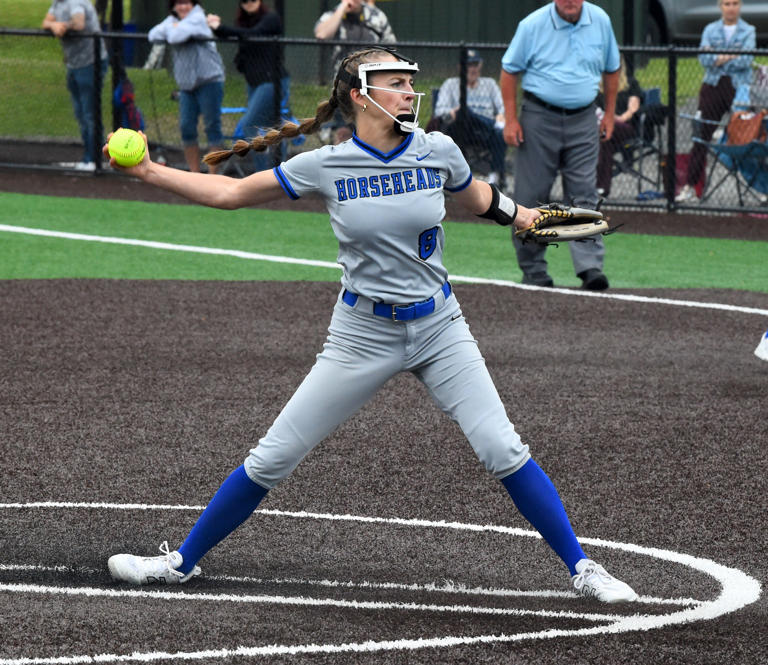Orchard Park stops Horseheads softball team's bid for state title in ...