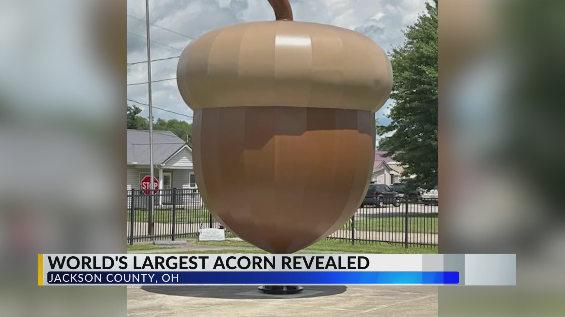 World's Largest Acorn Revealed in Jackson County, OH