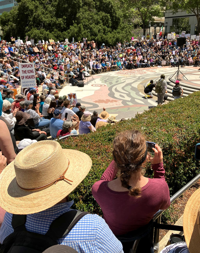 'No Kings' rallies across Bay Area and U.S. draw thousands to protest ...