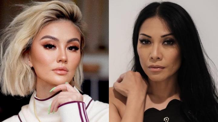 Dibintangi Agnez Mo dan Anggun: Apa Itu Serial Reacher?