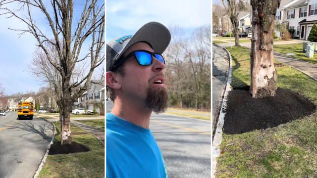 Landscaper shares frustration over harmful trend sweeping across his ...