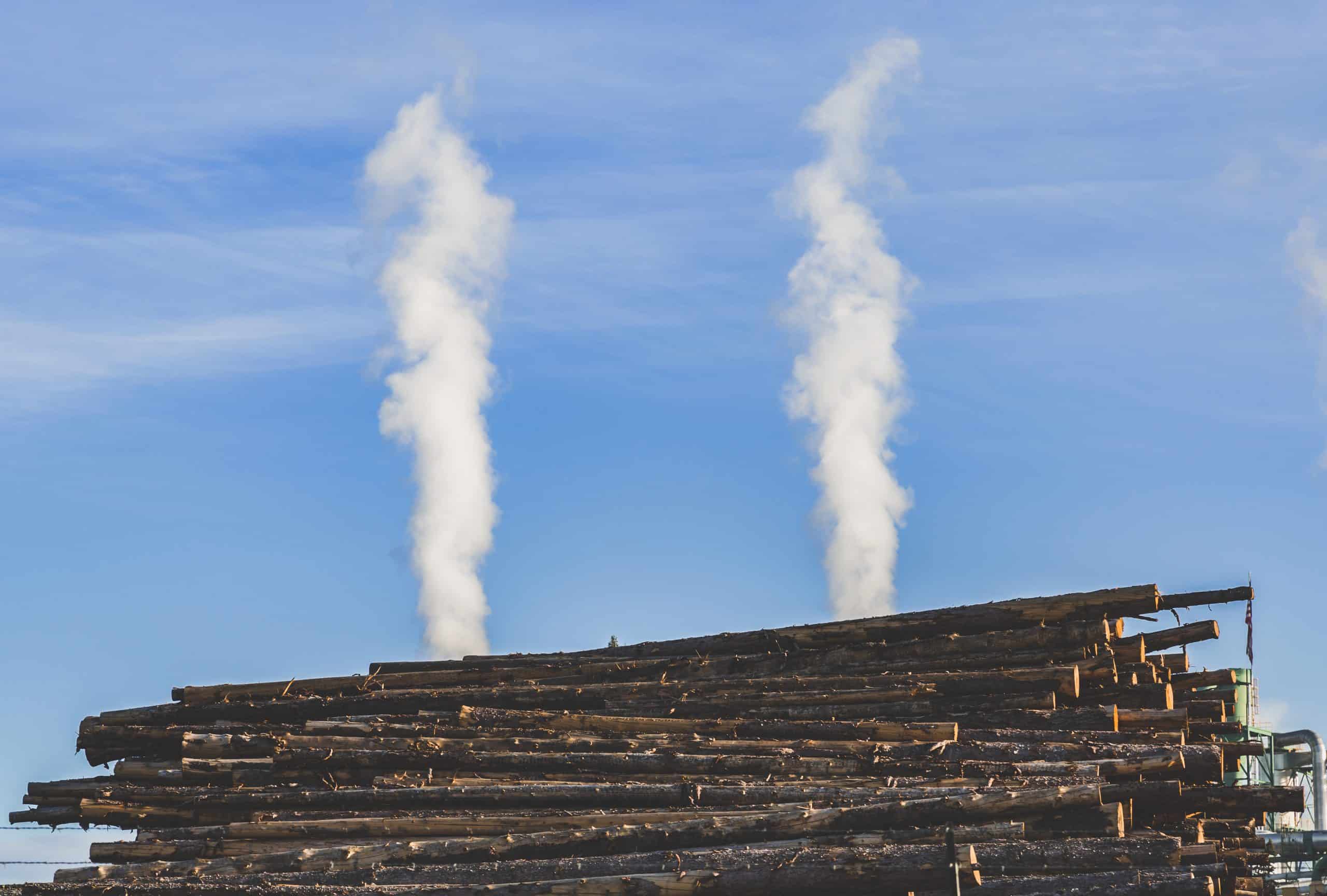 The PNW’s Legacy of Logging Towns and the Timber Industry