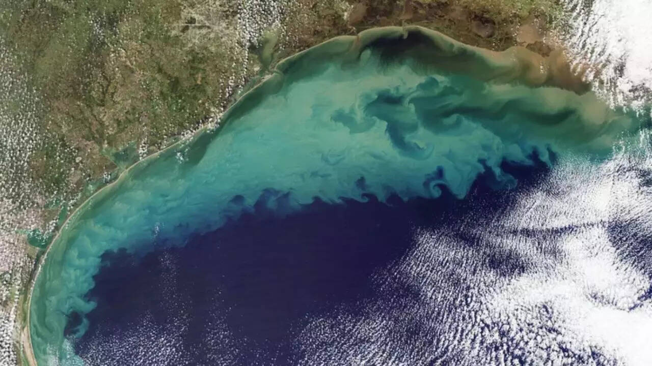 8 worst environmental disasters on Earth that are caused by humans