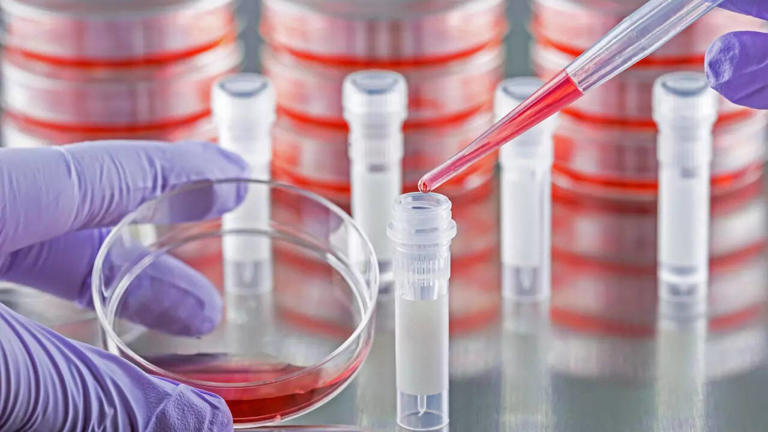 7 blood tests that can detect cancer in men and women
