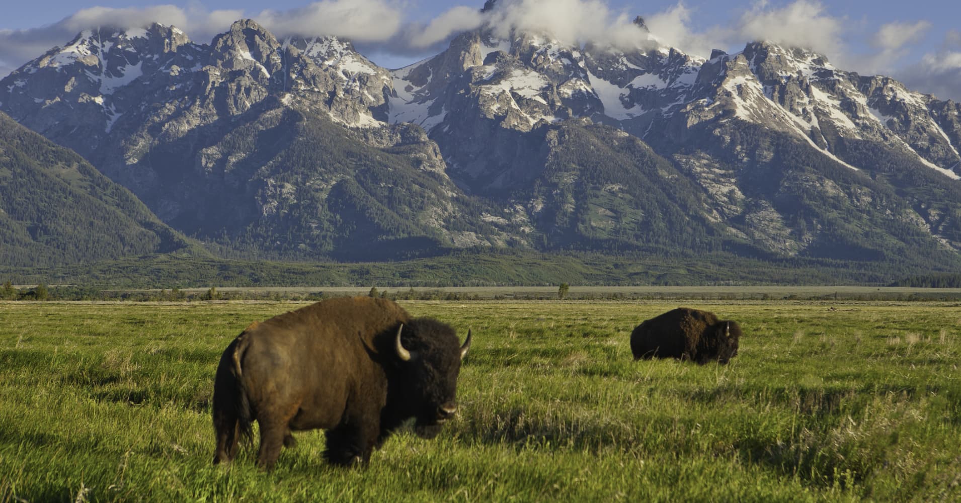 U.S. National Parks, national monuments and more public lands will be ...