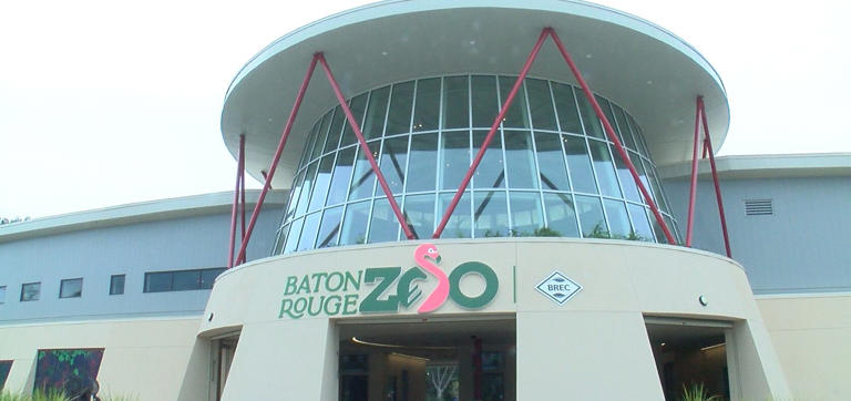 New animals arrive at BREC’s Baton Rouge Zoo; other changes announced