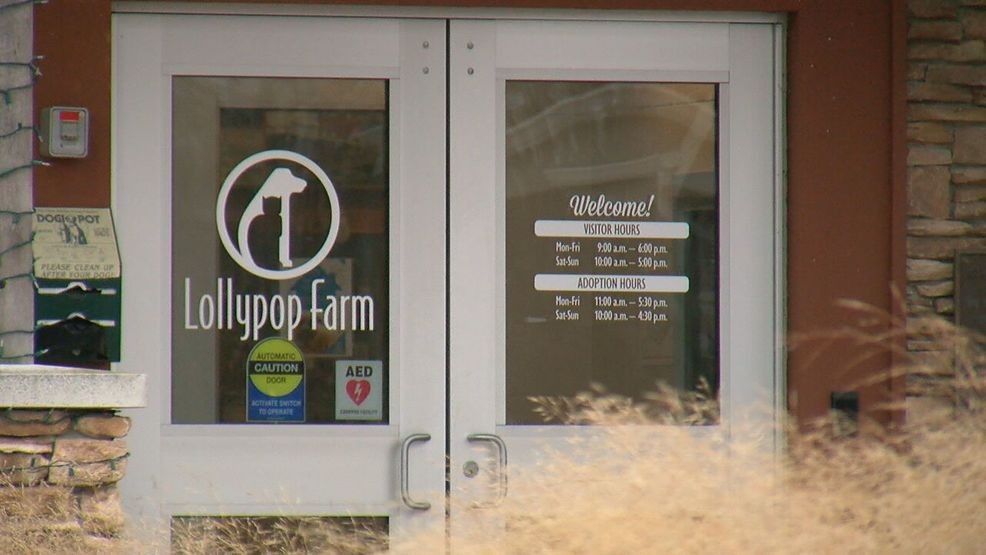 Lollypop Farm pauses veterinary services for rescue partners amid vet ...